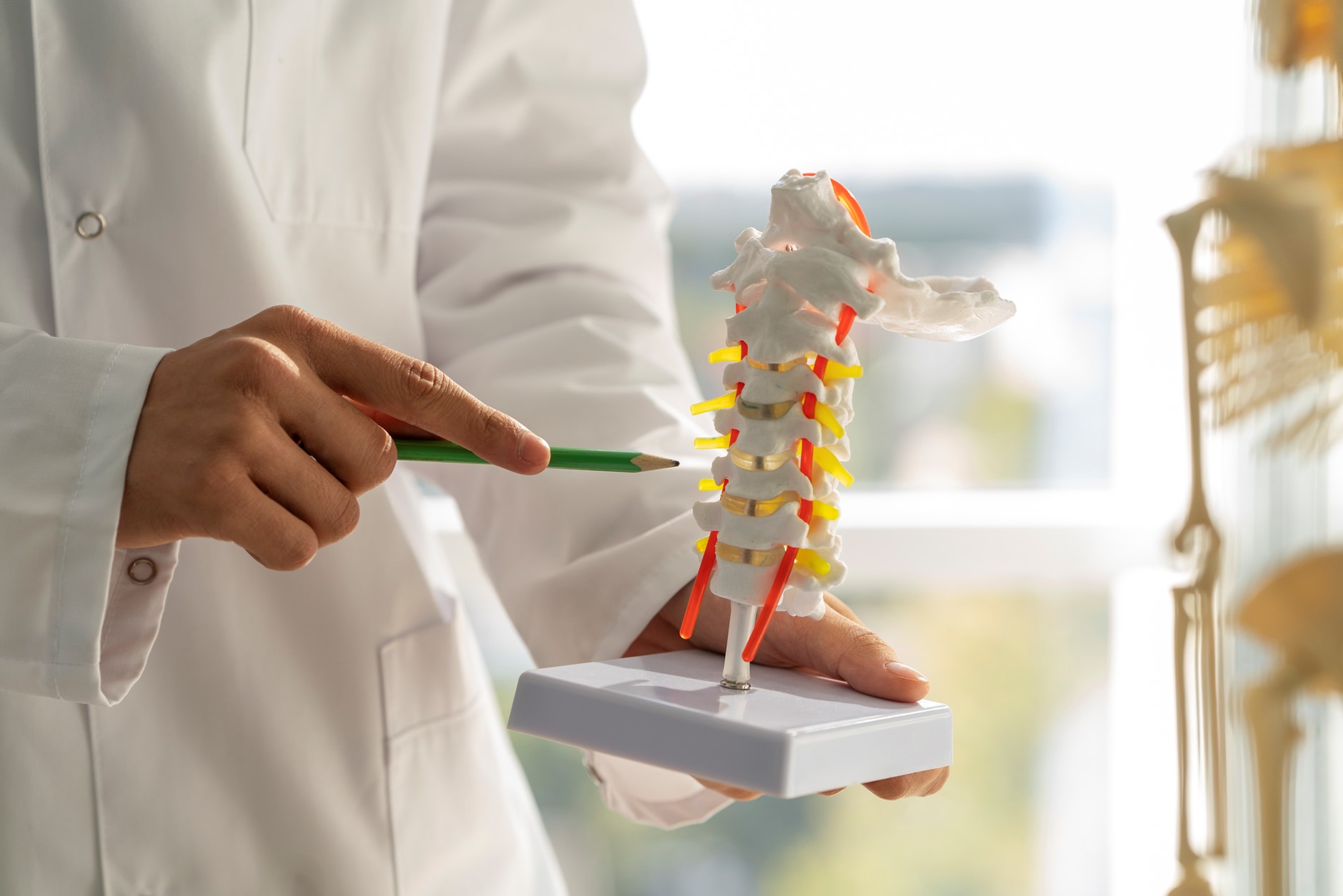Understanding Sciatica: Symptoms, Causes, Diagnosis, and Treatment - Dr. Sushpa Das- Daradia ...